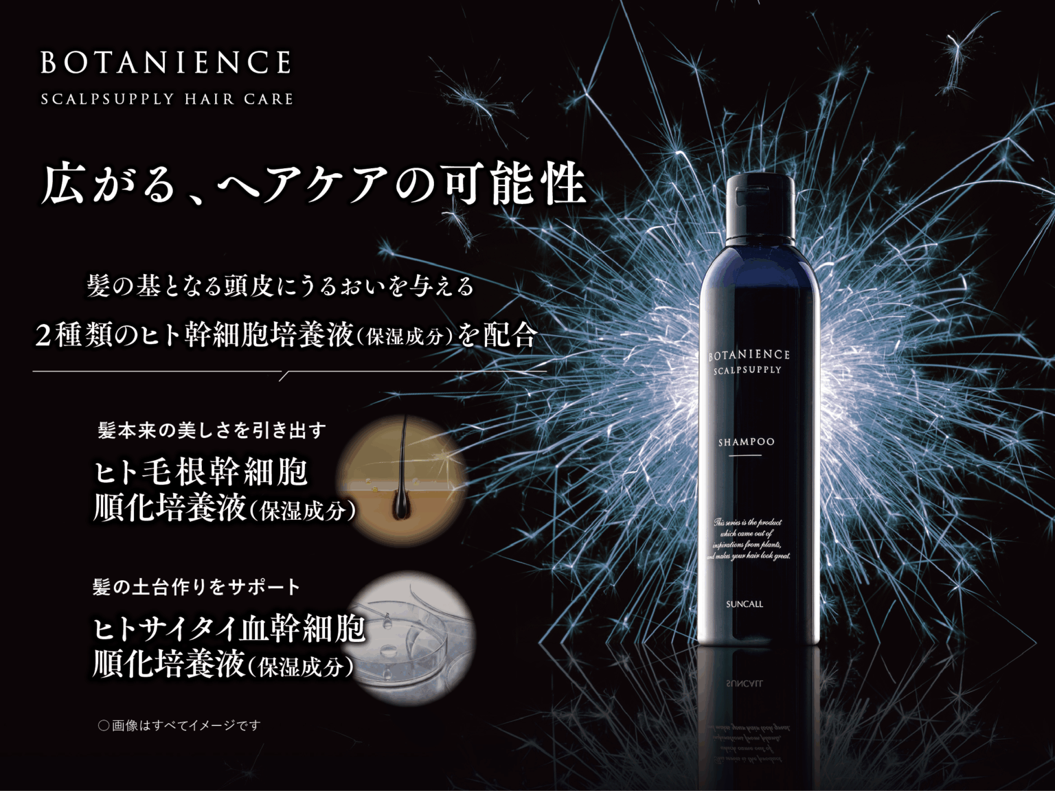 SUNCALL（サンコール）【 BOTANIENCE/ボタニエンス】頭皮の悩みが多いエイジング層へのアプローチが可能な、ヒト毛根幹細胞順化培養液（保湿成分）配合のヘアケア | ガモニュー｜ガ ...